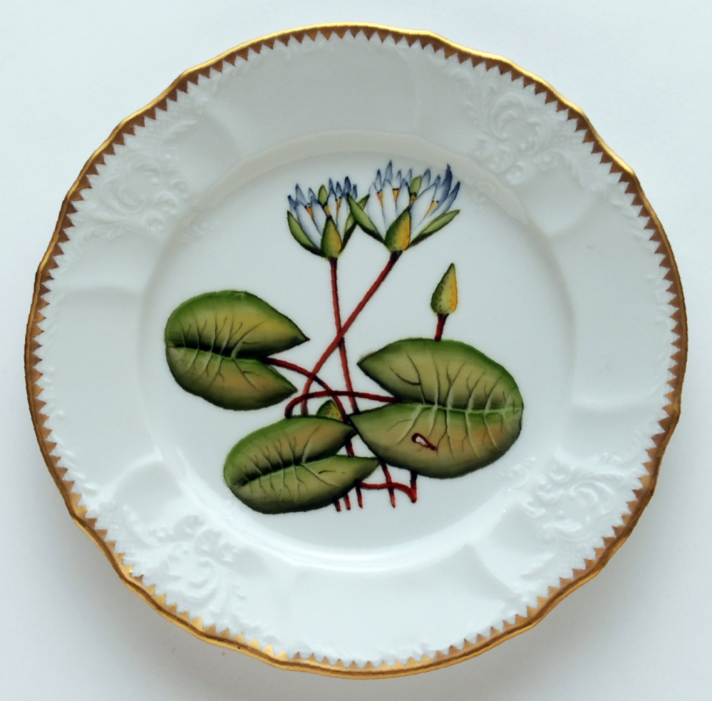 Anna Weatherley Seascape Waterlily Dinner Plate - Elizabeth Bruns, Inc.